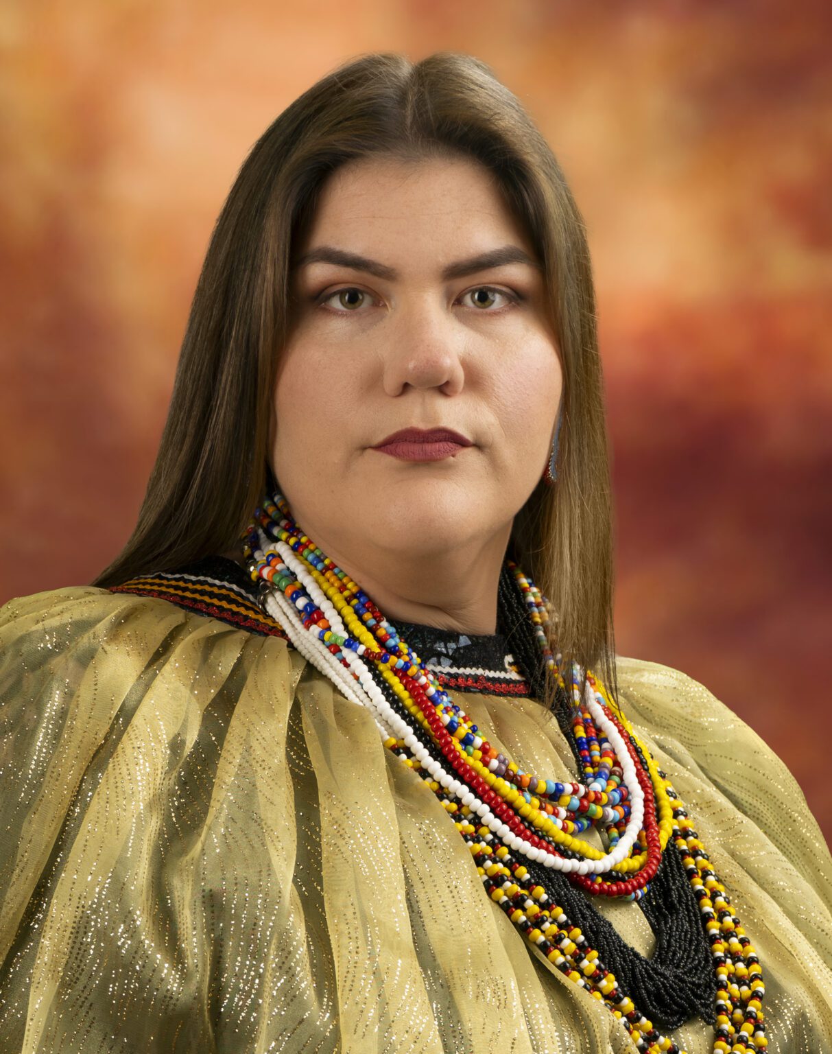 Our Organization - Seminole Tribe of Florida Inc.